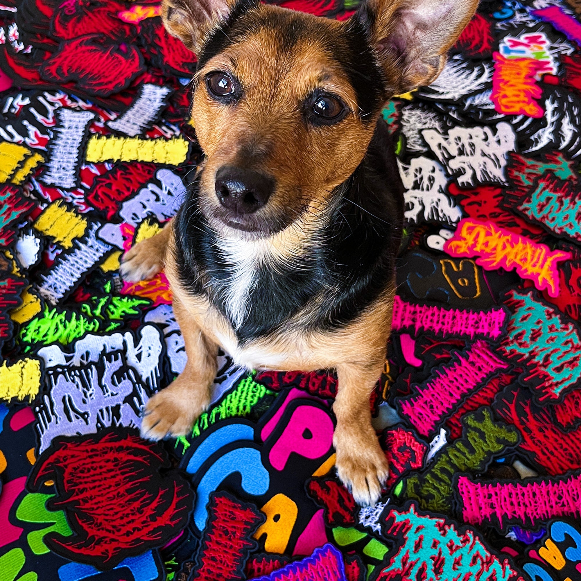 Patches – Page 2 – Reality Fade Merch