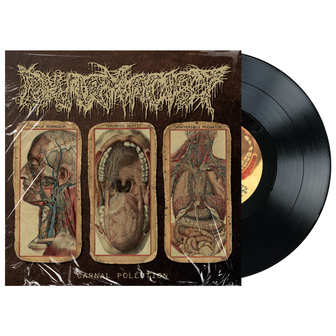 Pharmacist – Reality Fade Merch